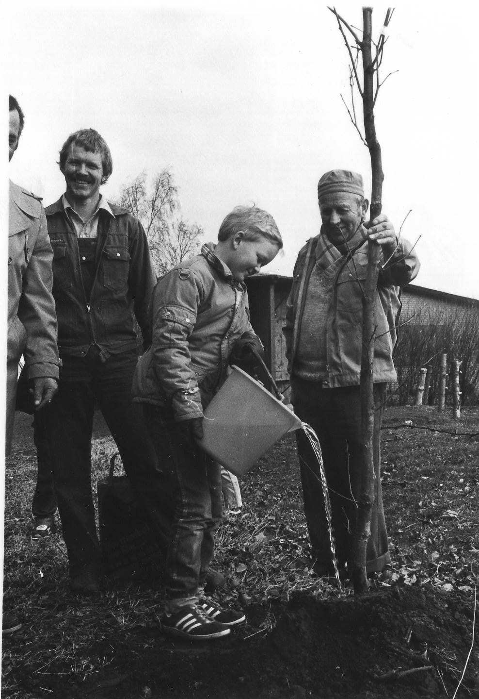 Træer i Gerding – Gerding by